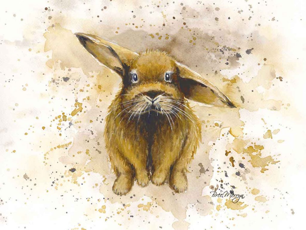 Bree Merryn Canvas Cuties Benji Bunny Canvas. 15 x 20cm | Gifteasy Online